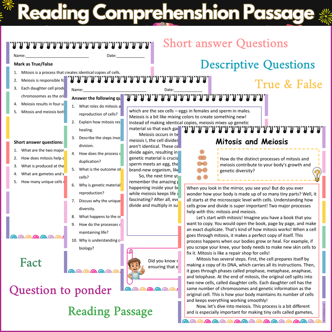 Mitosis and Meiosis | Reading Comprehension Passage and Questions ...
