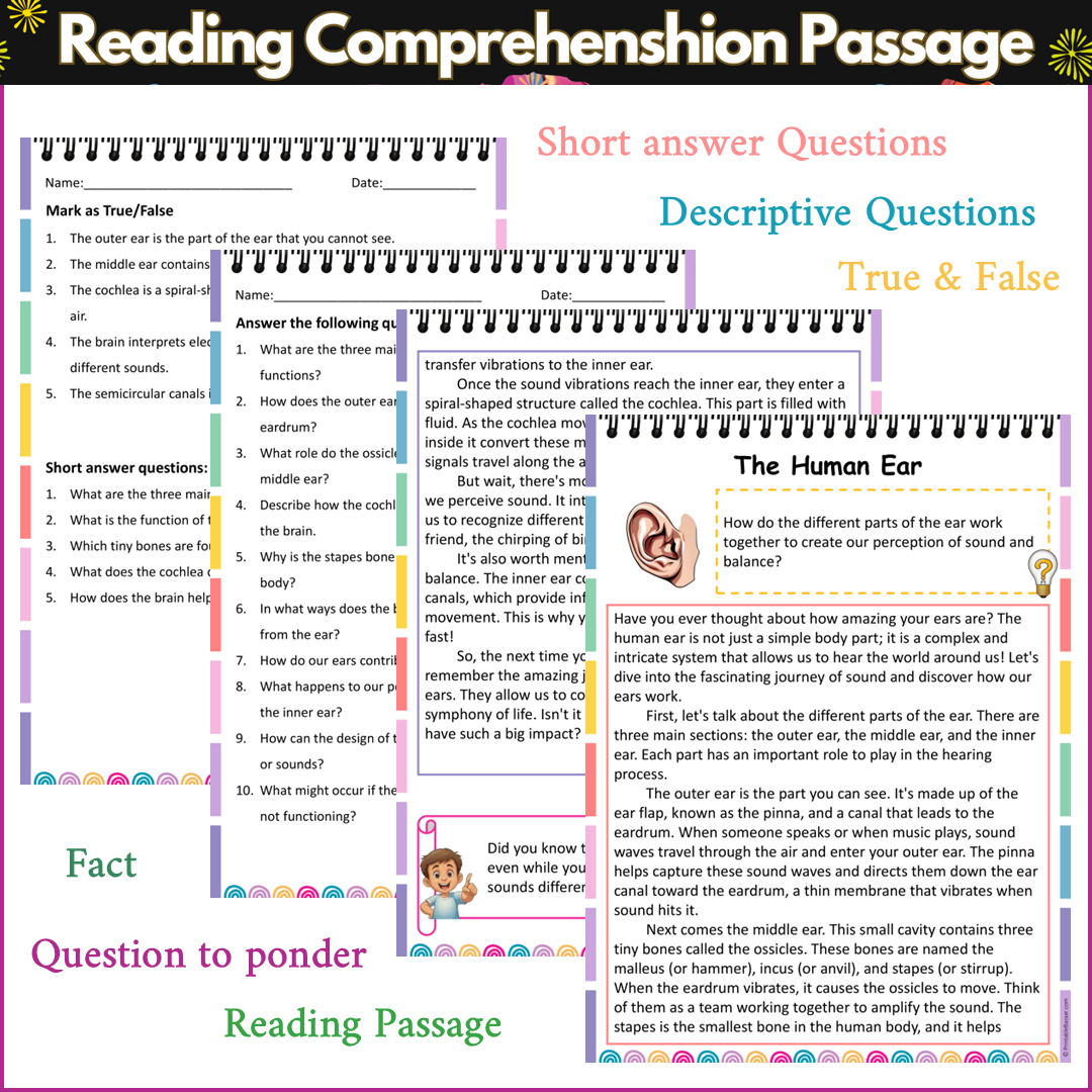 The Human Ear | Reading Comprehension Passage and Questions ...