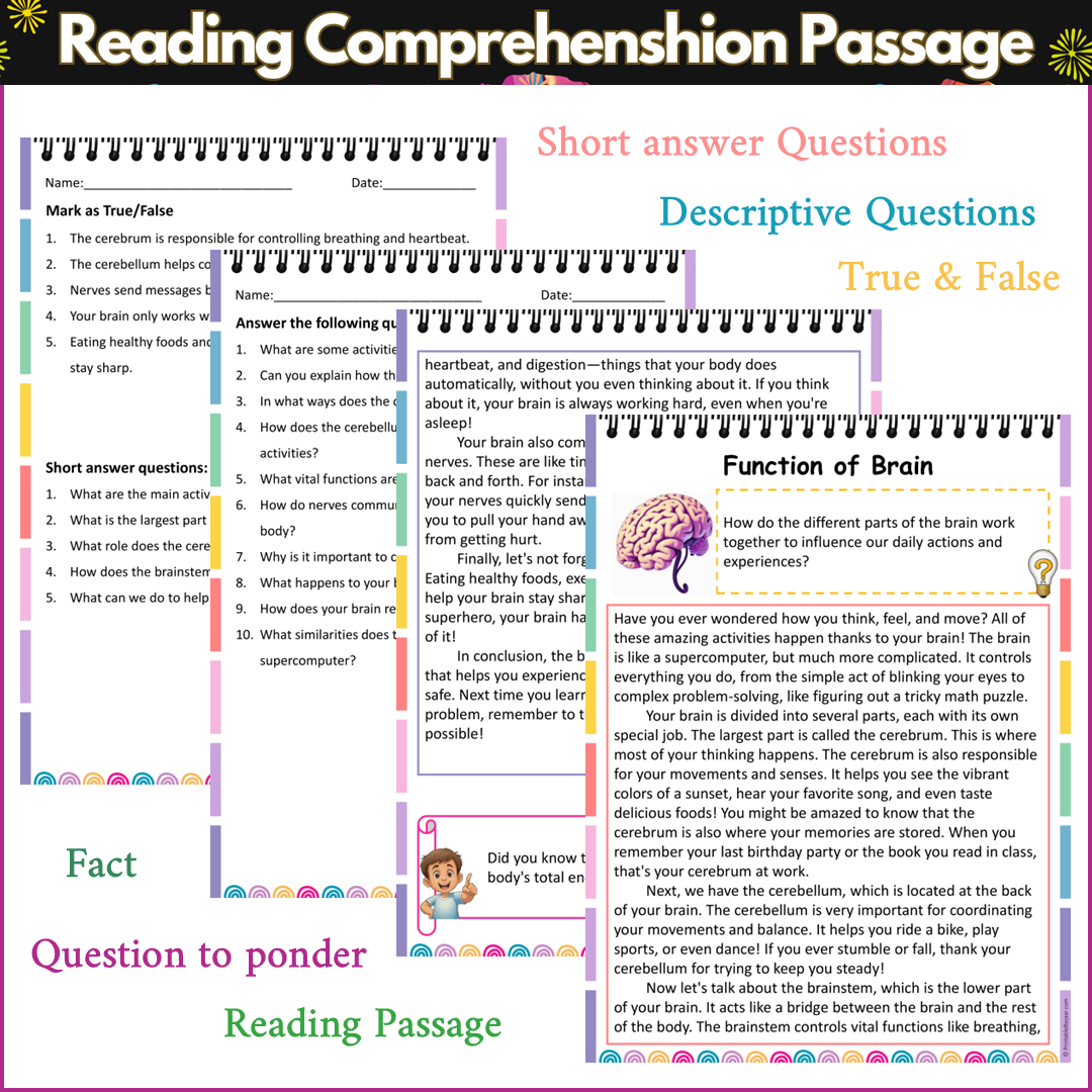 Function of Brain | Reading Comprehension Passage and Questions ...