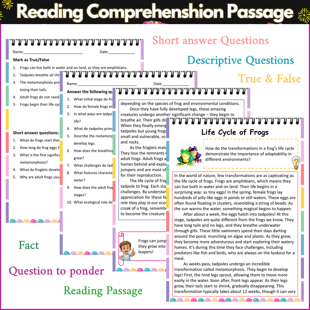 Life Cycle of Frogs | Reading Comprehension Passage and Questions ...
