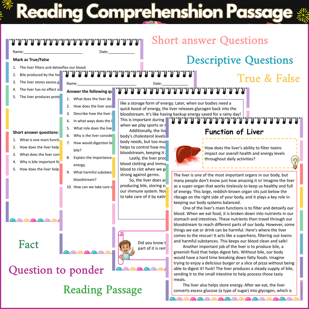 Function of Liver | Reading Comprehension Passage and Questions ...