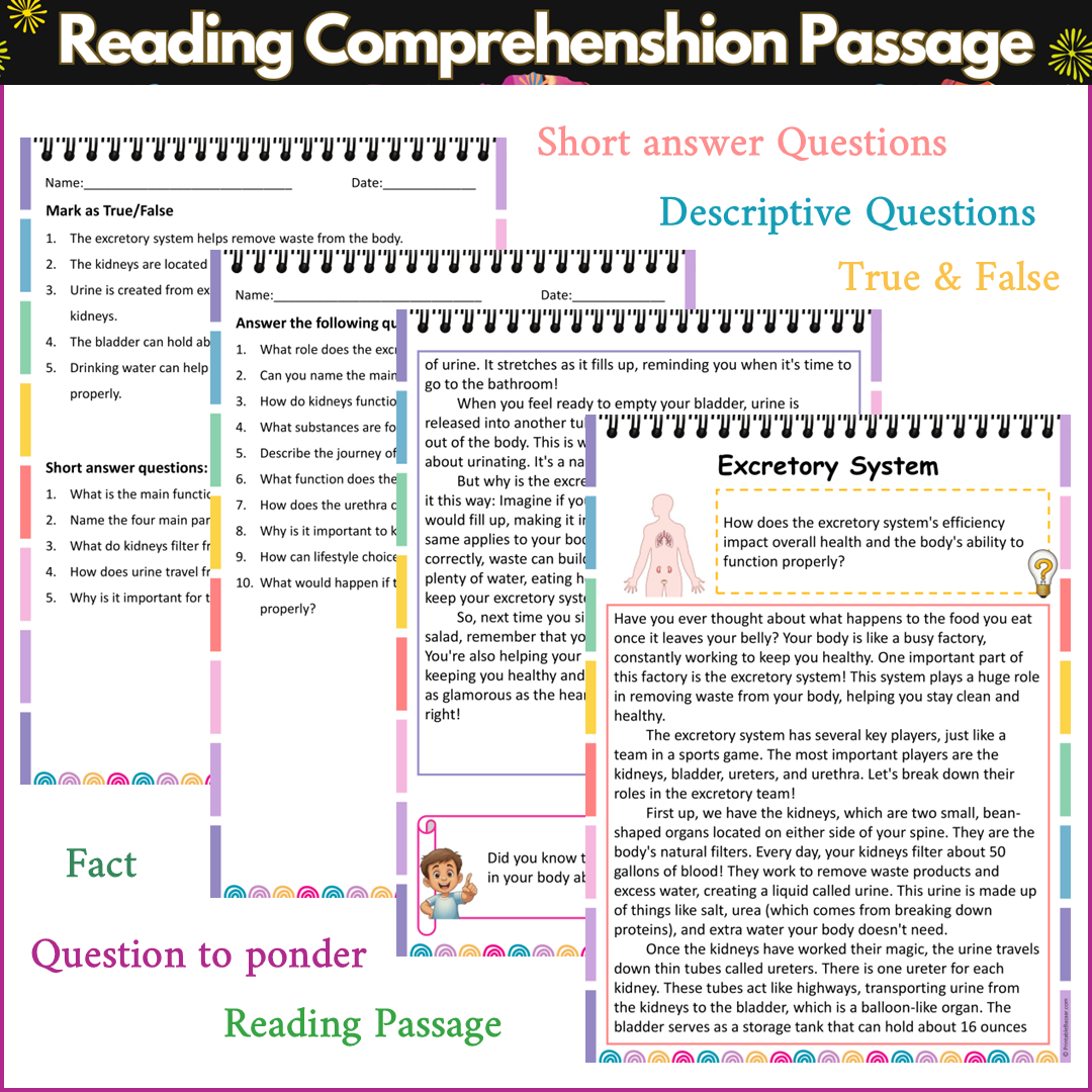 Excretory System | Reading Comprehension Passage and Questions ...