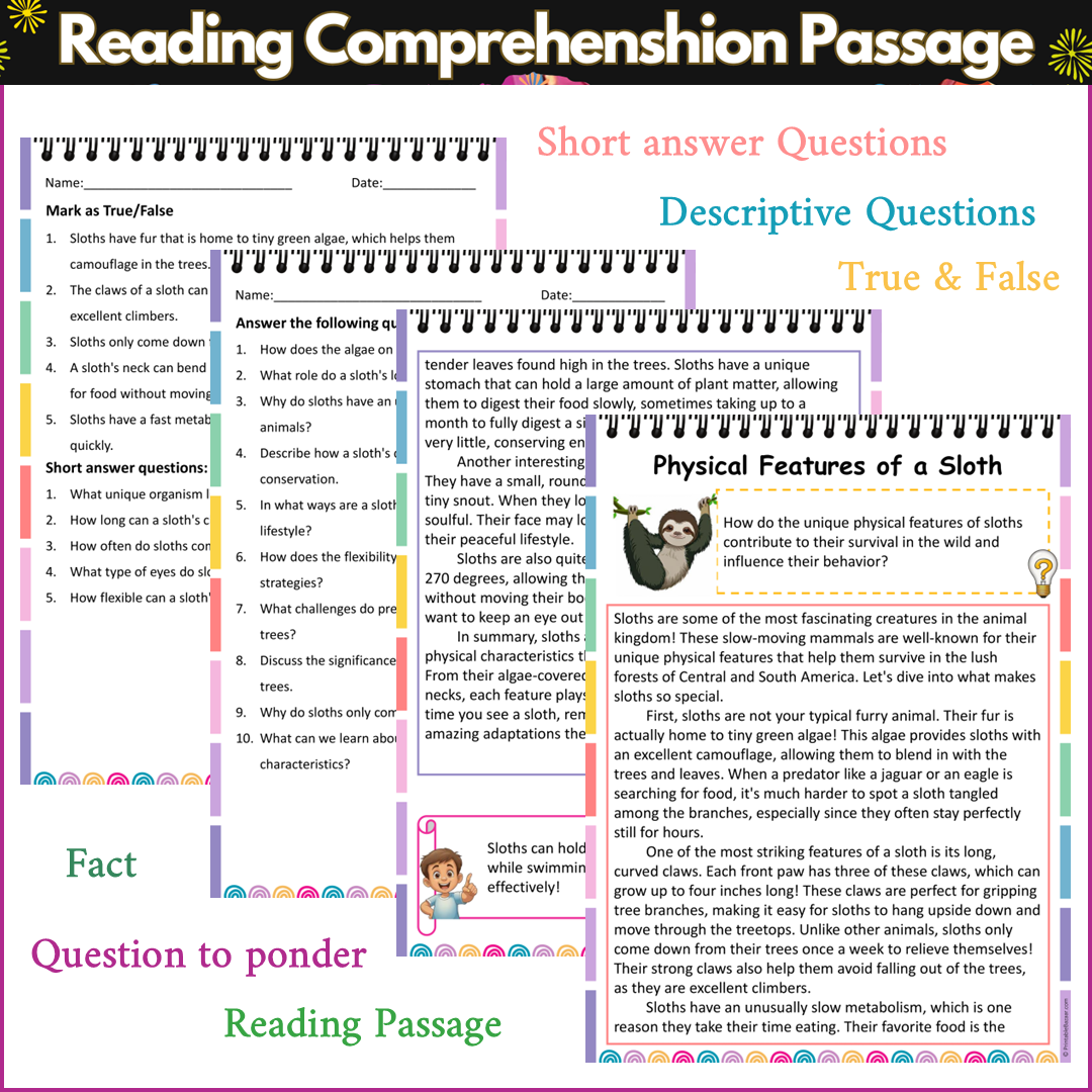 Physical Features of a Sloth | Reading Comprehension Passage and Quest ...
