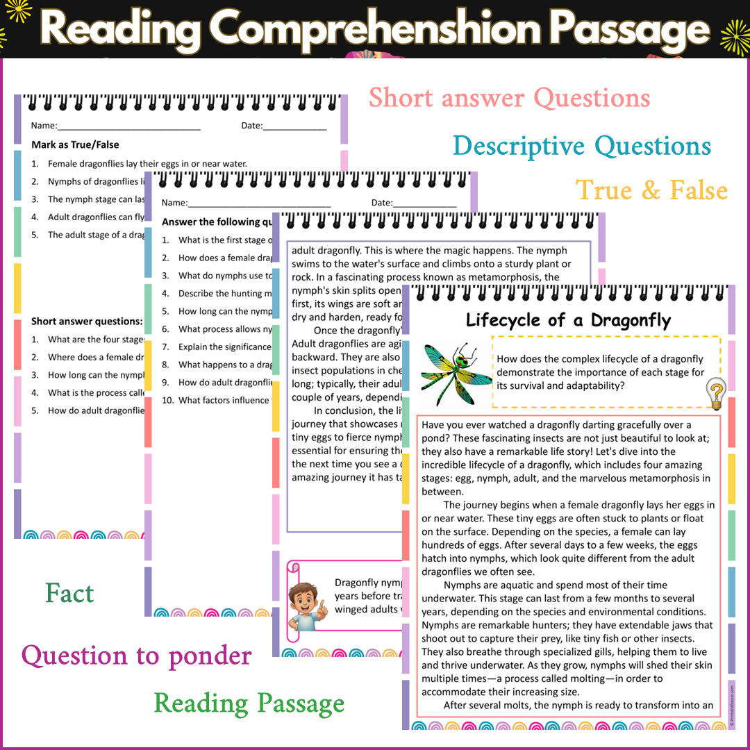 Lifecycle of a Dragonfly | Reading Comprehension Passage and Questions ...