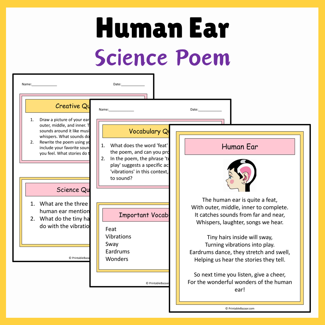 Human Ear | Science Poem Reading Comprehension Activity – PrintableBazaar