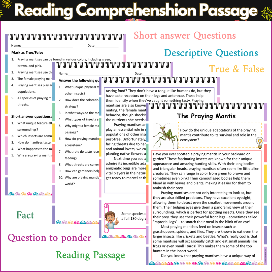 The Praying Mantis | Reading Comprehension Passage and Questions ...