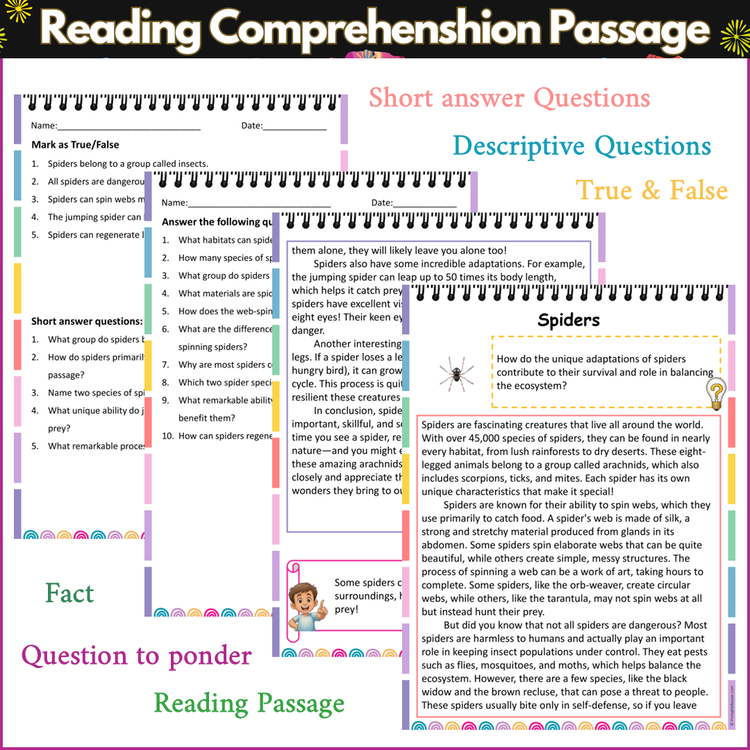 Spiders | Reading Comprehension Passage and Questions – PrintableBazaar