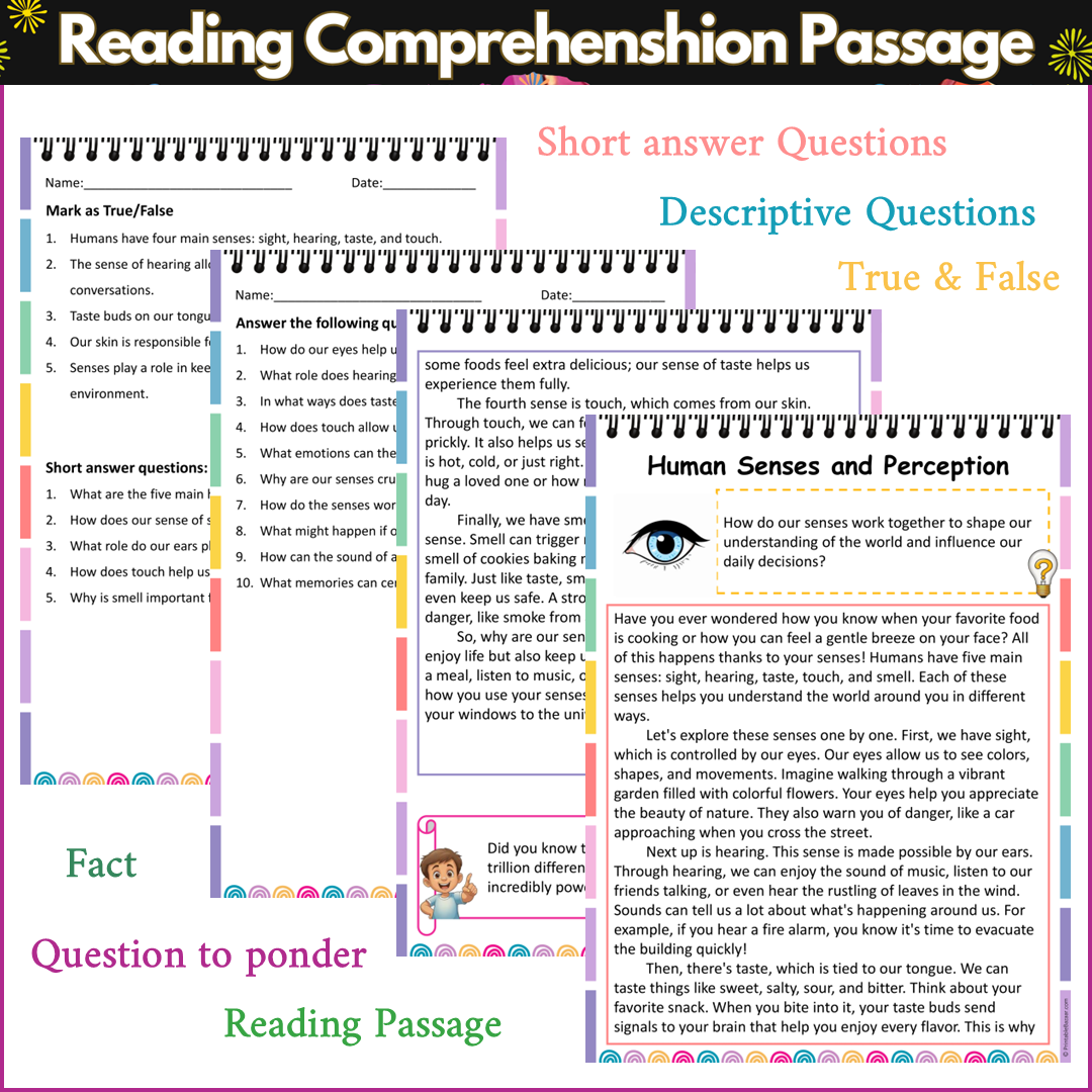 Human Senses and Perception | Reading Comprehension Passage and Questi ...