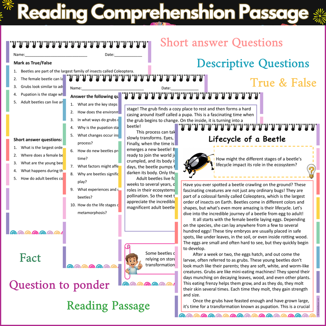 Lifecycle of a Beetle | Reading Comprehension Passage and Questions ...