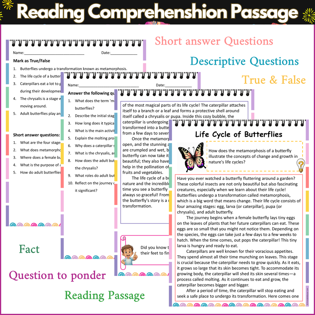 Life Cycle of Butterflies | Reading Comprehension Passage and Question ...