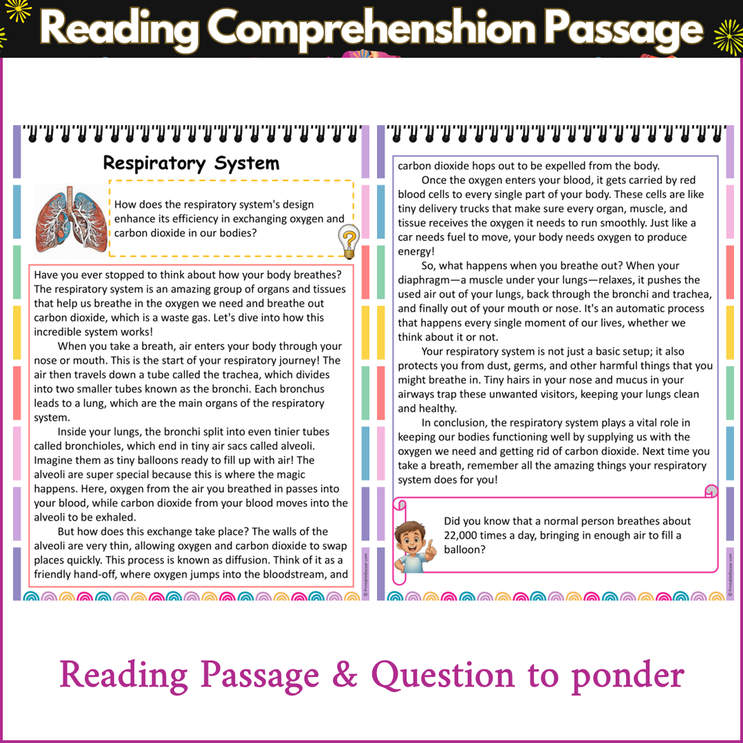 Respiratory System | Reading Comprehension Passage and Questions ...