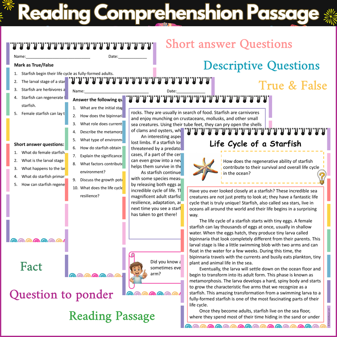 Life Cycle of a Starfish | Reading Comprehension Passage and Questions ...