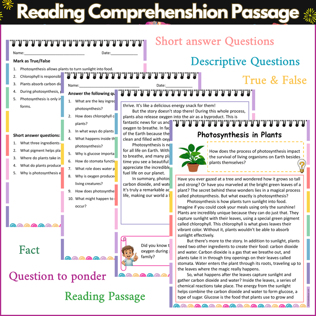 Photosynthesis in Plants | Reading Comprehension Passage and Questions ...