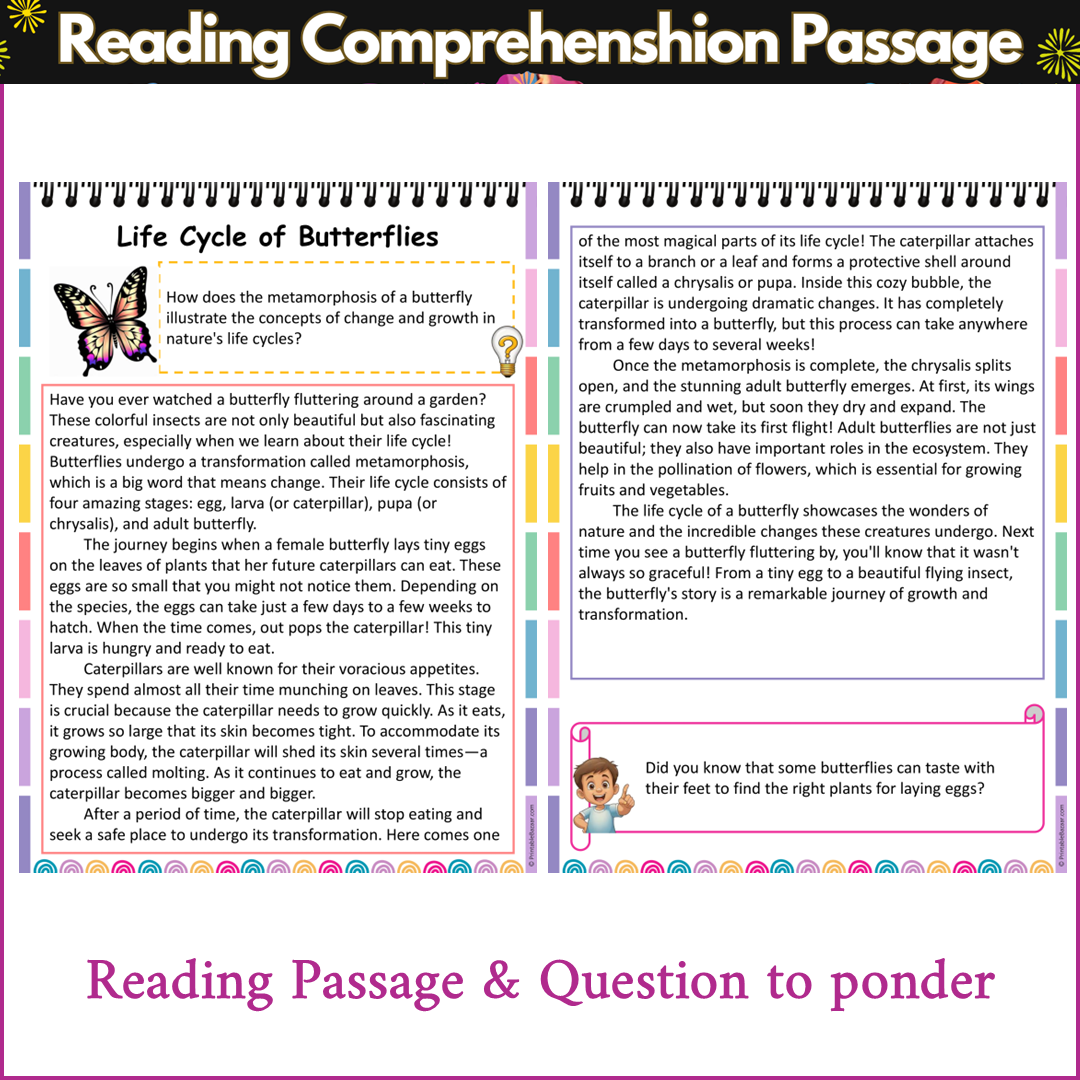 Life Cycle of Butterflies | Reading Comprehension Passage and Question ...