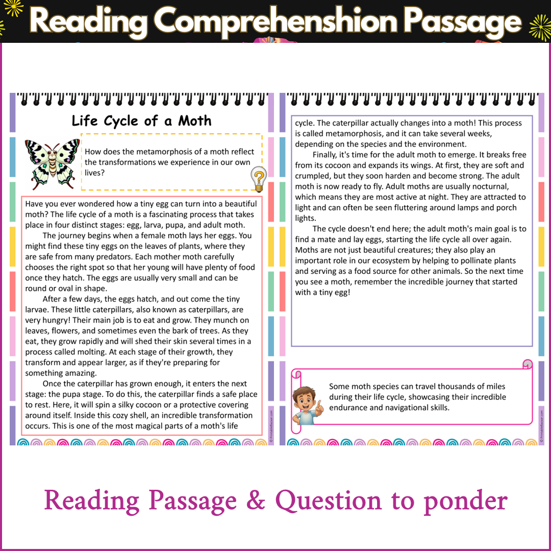 Life Cycle of a Moth | Reading Comprehension Passage and Questions ...