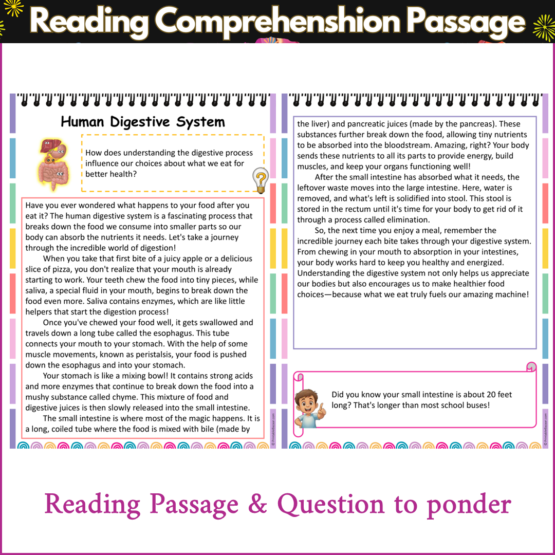 Human Digestive System | Reading Comprehension Passage and Questions ...