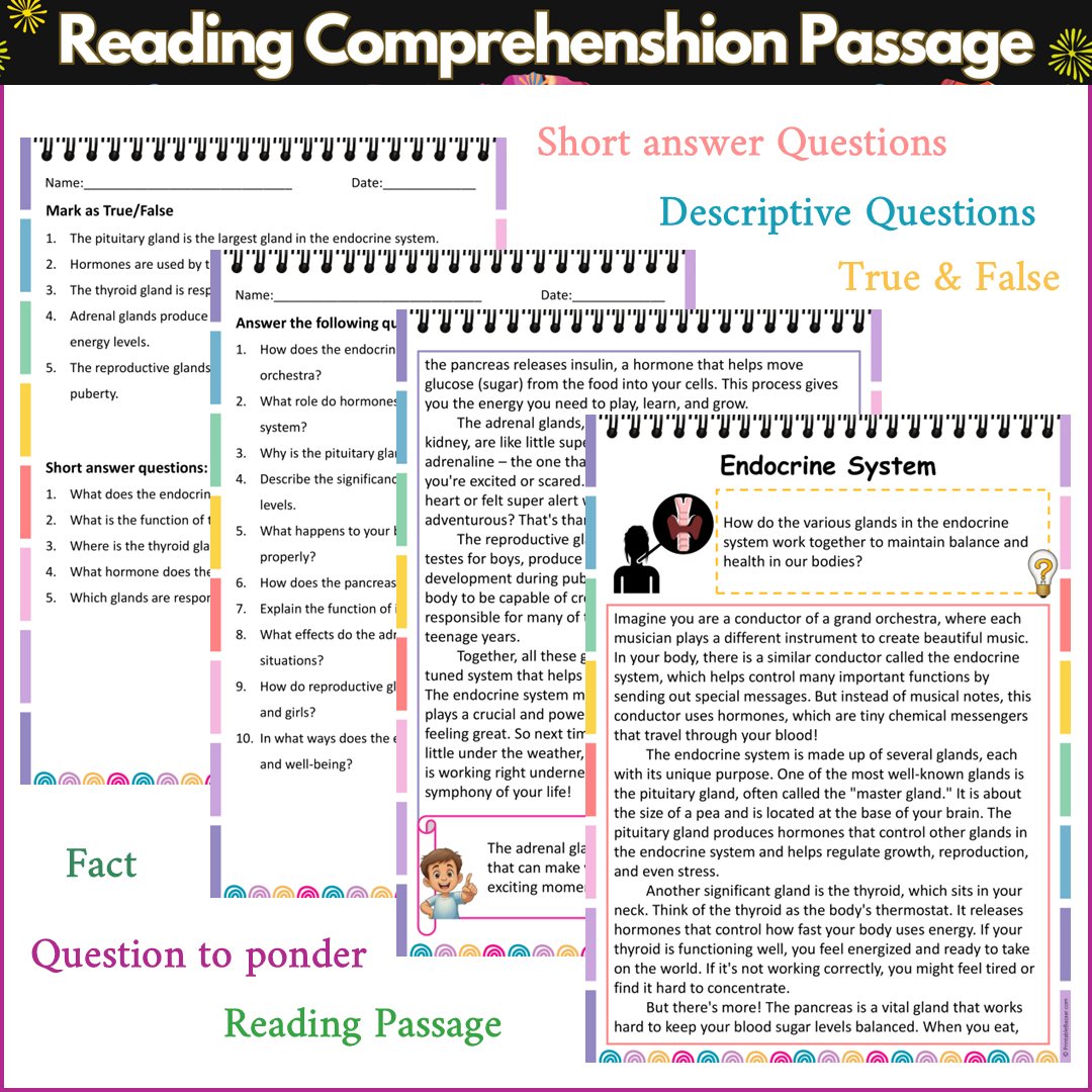 Endocrine System | Reading Comprehension Passage and Questions ...