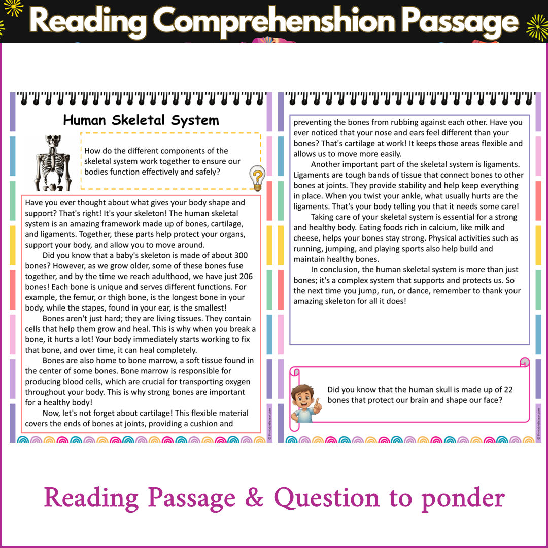 Human Skeletal System | Reading Comprehension Passage and Questions ...