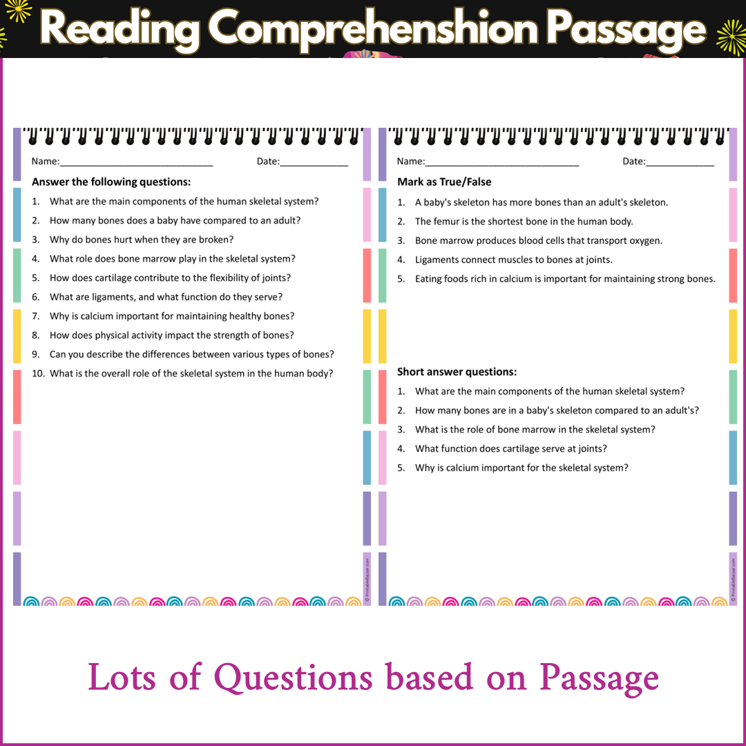 Human Skeletal System | Reading Comprehension Passage and Questions ...