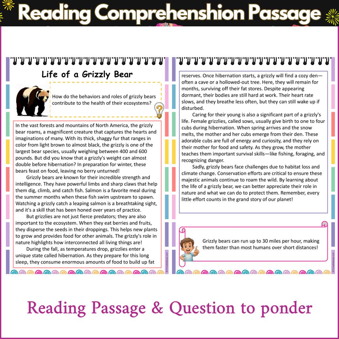 Life of a Grizzly Bear | Reading Comprehension Passage and Questions ...