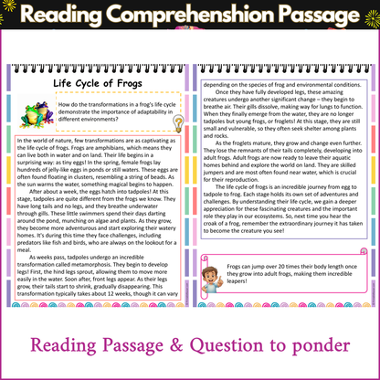 Life Cycle of Frogs | Reading Comprehension Passage and Questions ...