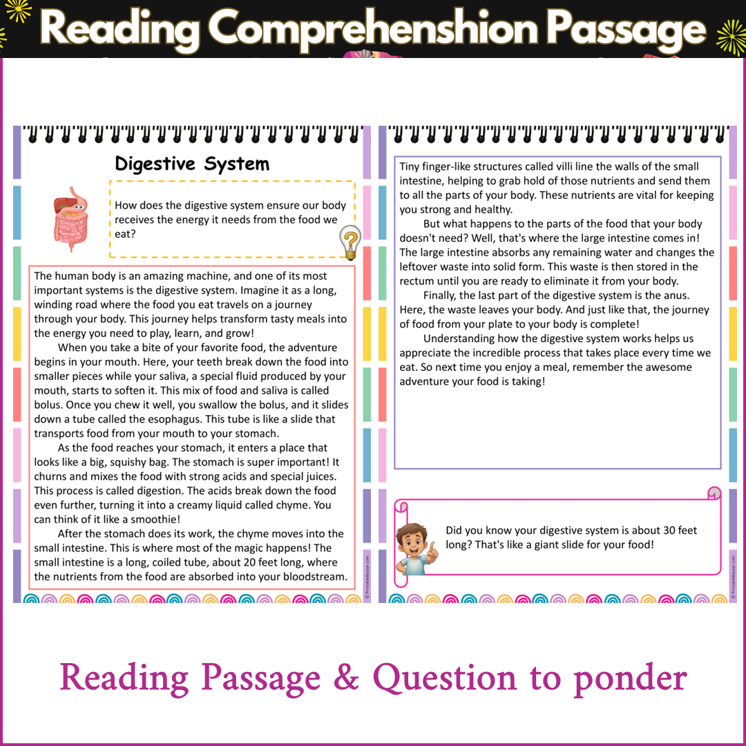 Digestive System | Reading Comprehension Passage and Questions ...