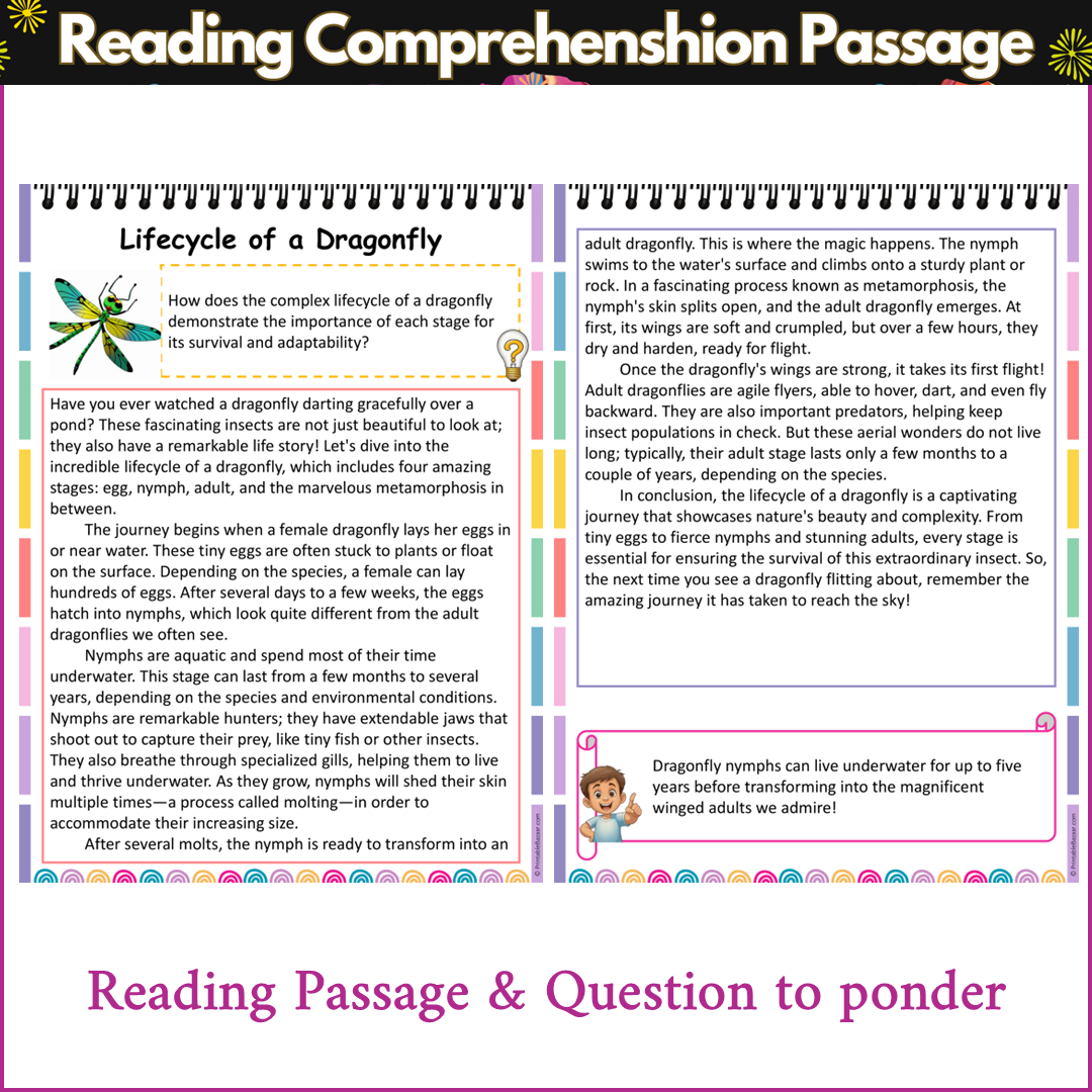 Lifecycle of a Dragonfly | Reading Comprehension Passage and Questions ...