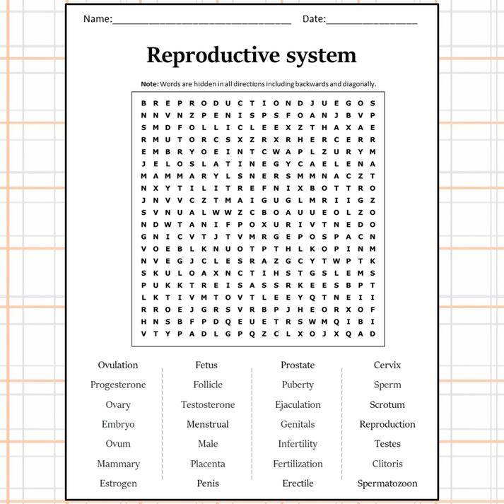 Reproductive System Word Search Puzzle Worksheet Activity PDF ...