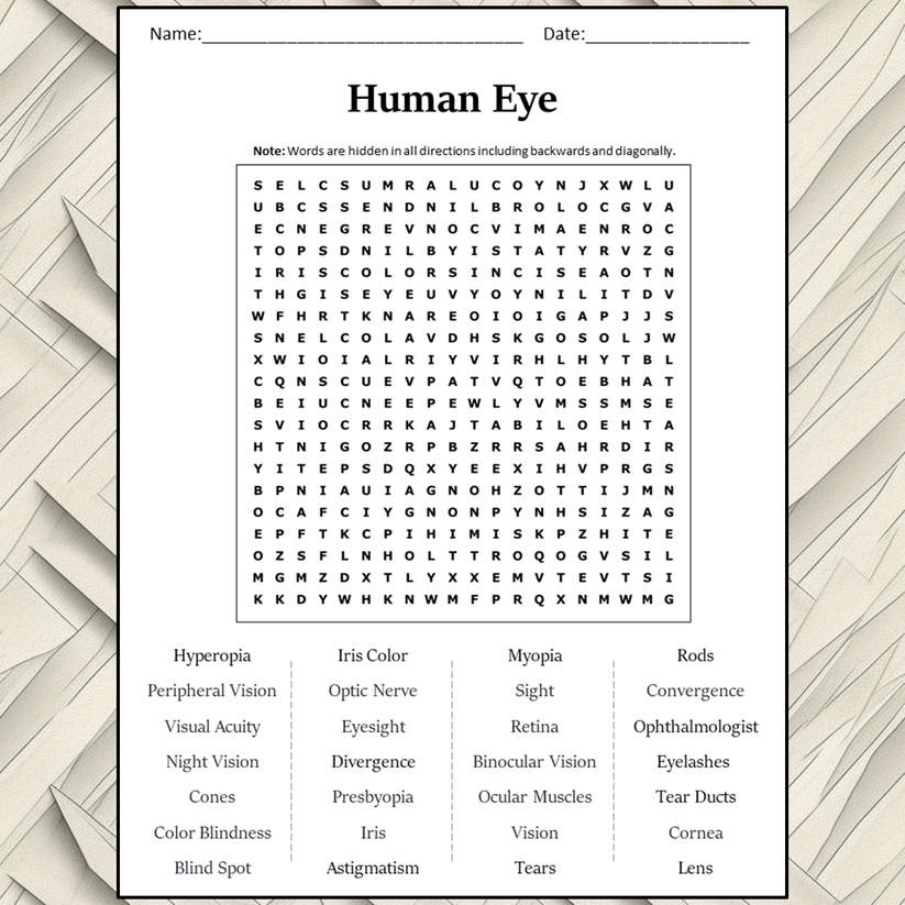 Human Eye Word Search Puzzle Worksheet Activity PDF – PrintableBazaar