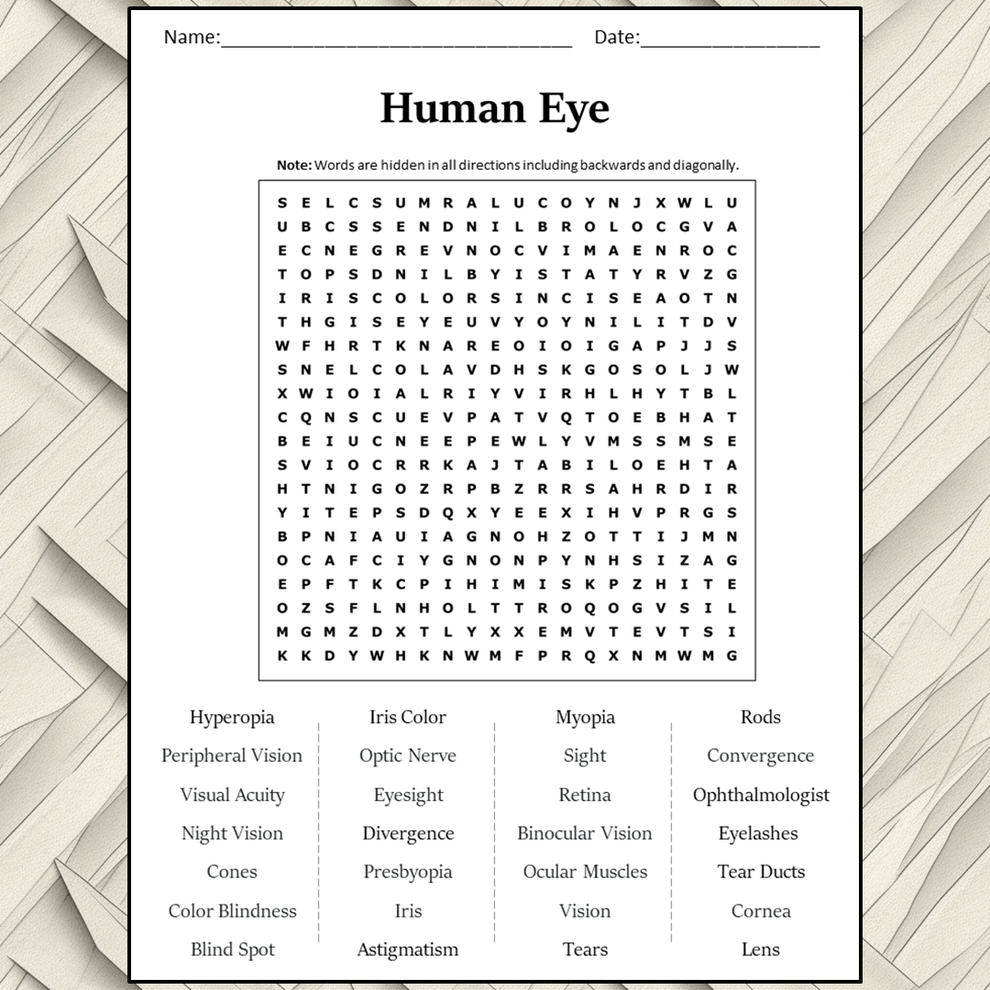 Human Eye Word Search Puzzle Worksheet Activity PDF – PrintableBazaar