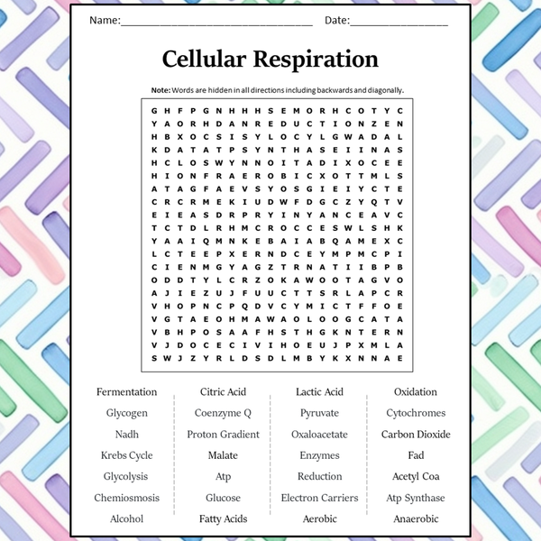 Cellular Respiration Word Search Puzzle Worksheet Activity PDF ...