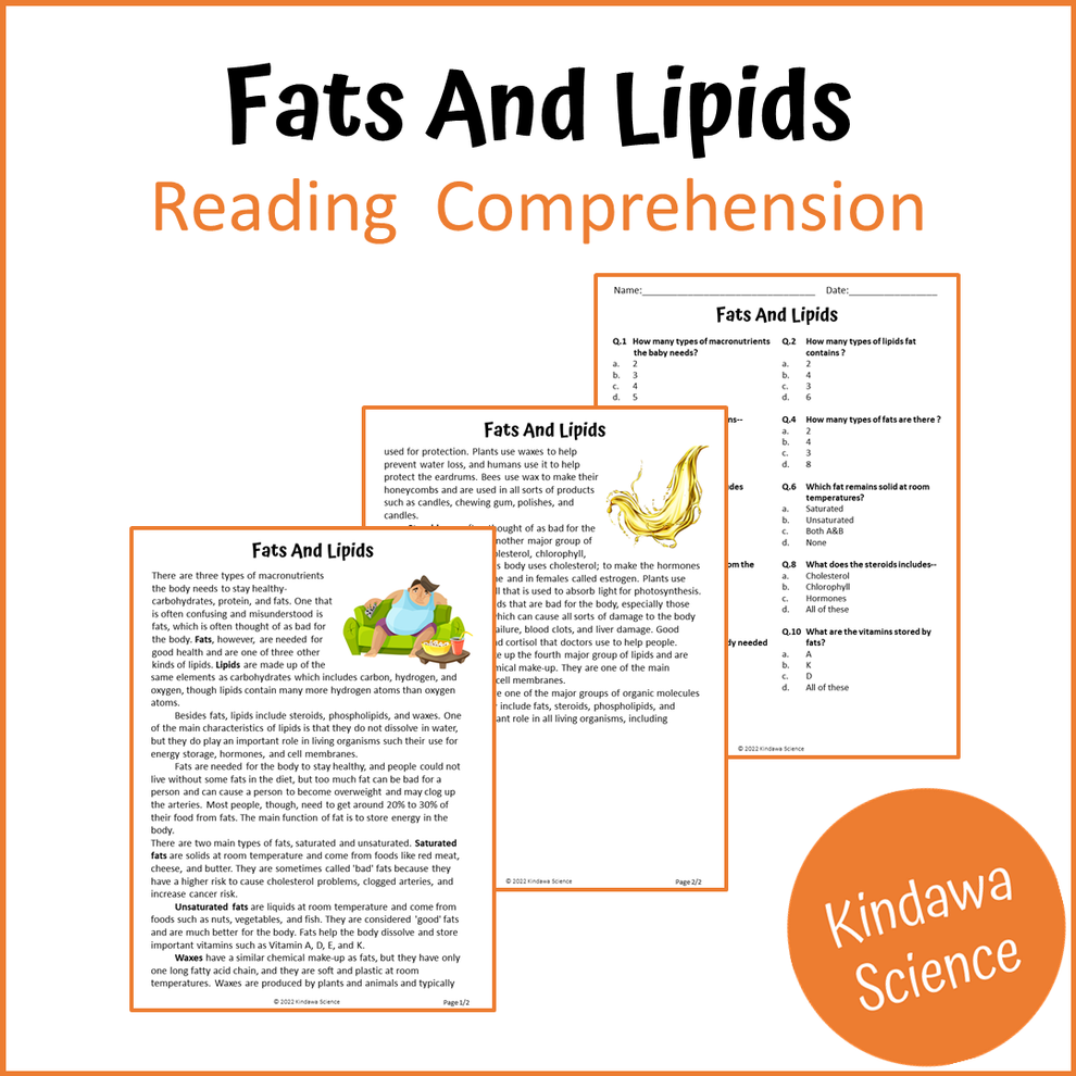 Fats And Lipids Reading Comprehension Passage and Questions | Printabl ...