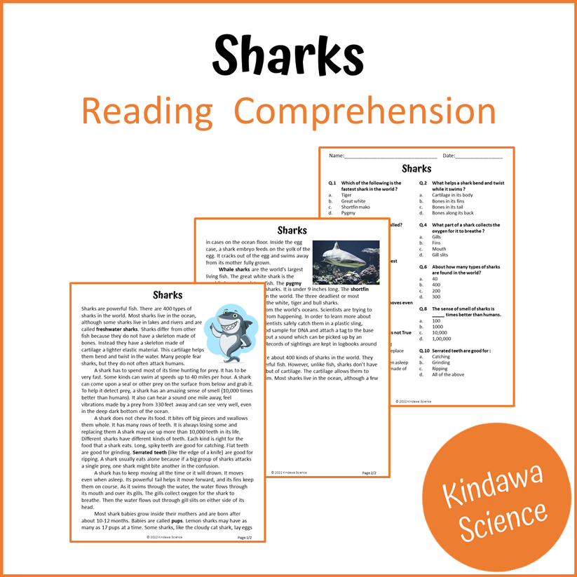 Sharks Reading Comprehension Passage and Questions | Printable PDF ...