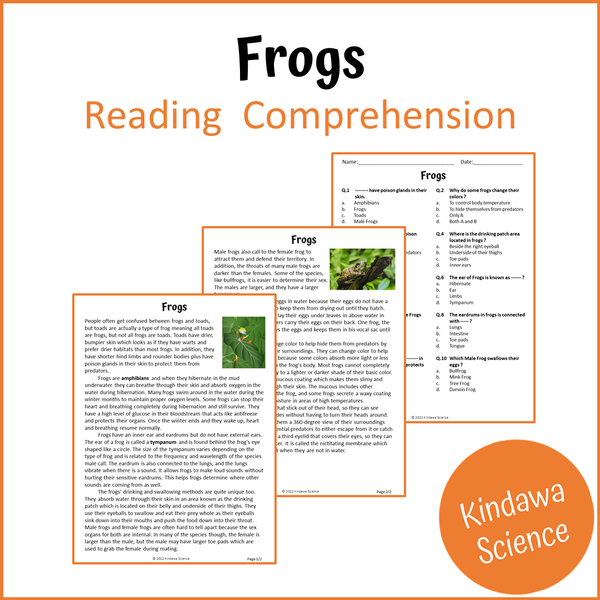 Frogs Reading Comprehension Passage and Questions | Printable PDF ...