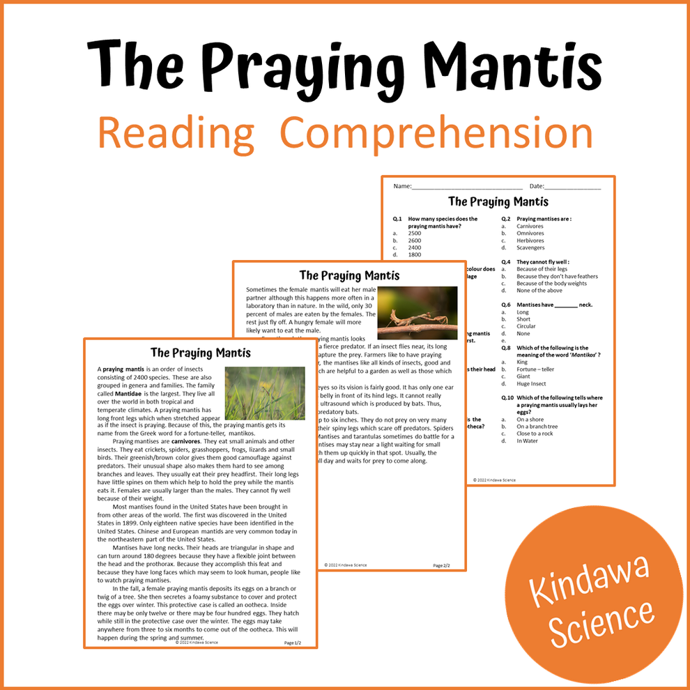 The Praying Mantis Reading Comprehension Passage and Questions | Print ...