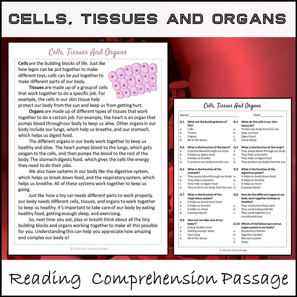 Cells, Tissues And Organs Reading Comprehension Passage and Questions ...