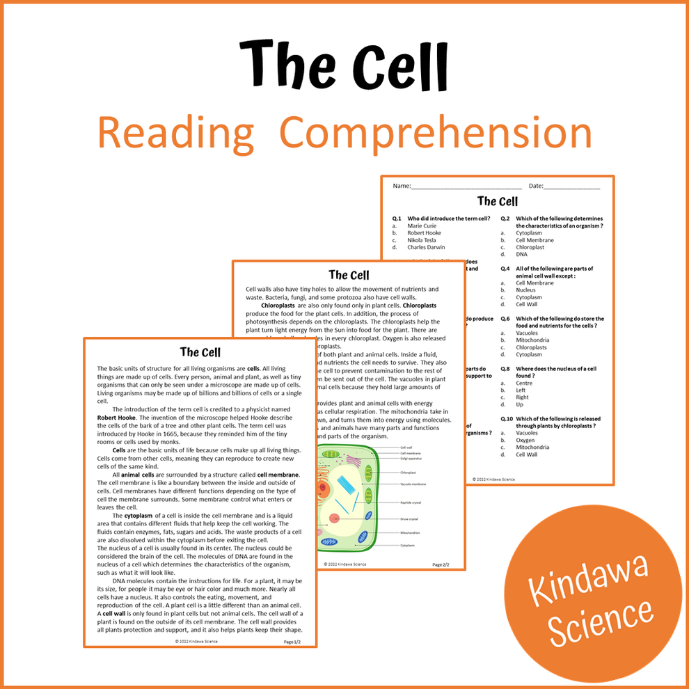 Cells Reading Comprehension Worksheet PDF – PrintableBazaar