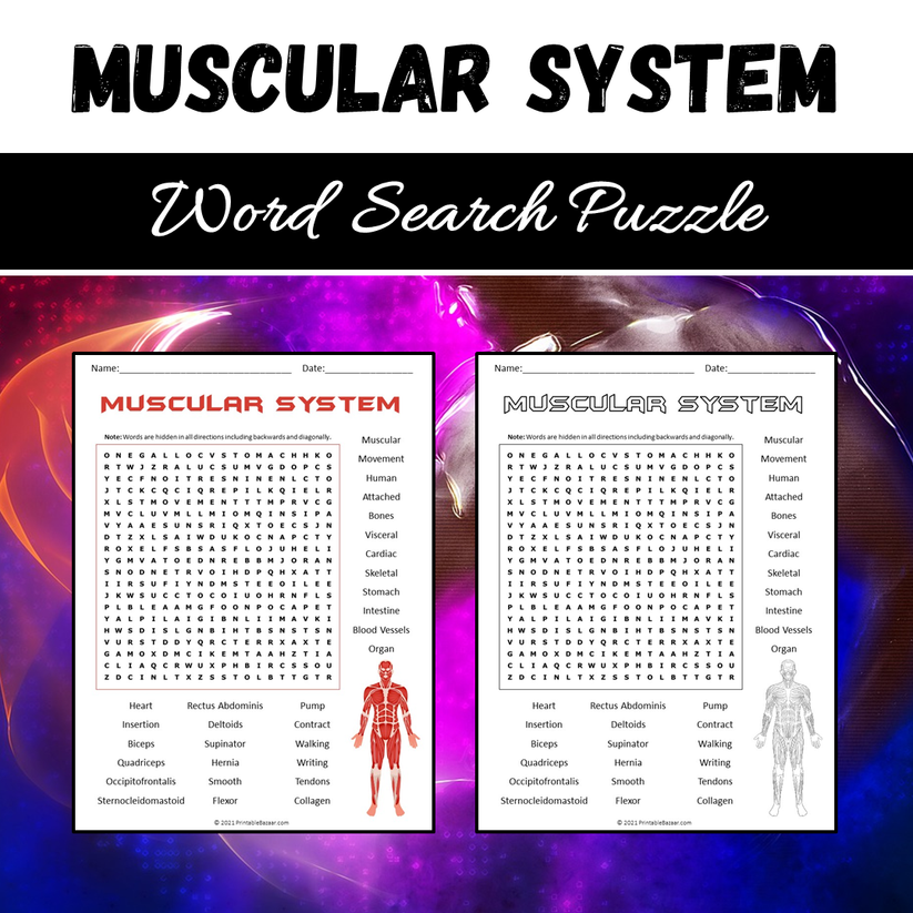 Muscular System Word Search Puzzle Worksheet PDF – PrintableBazaar