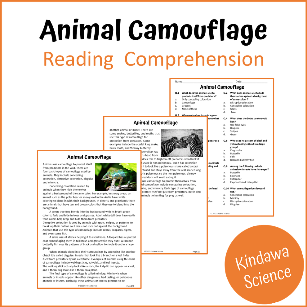 Animal Camouflage Reading Comprehension Passage and Questions | Printa ...