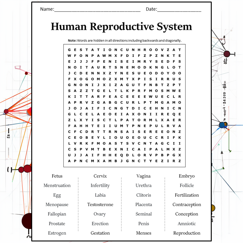 Human Reproductive System Word Search Puzzle Worksheet Activity PDF ...