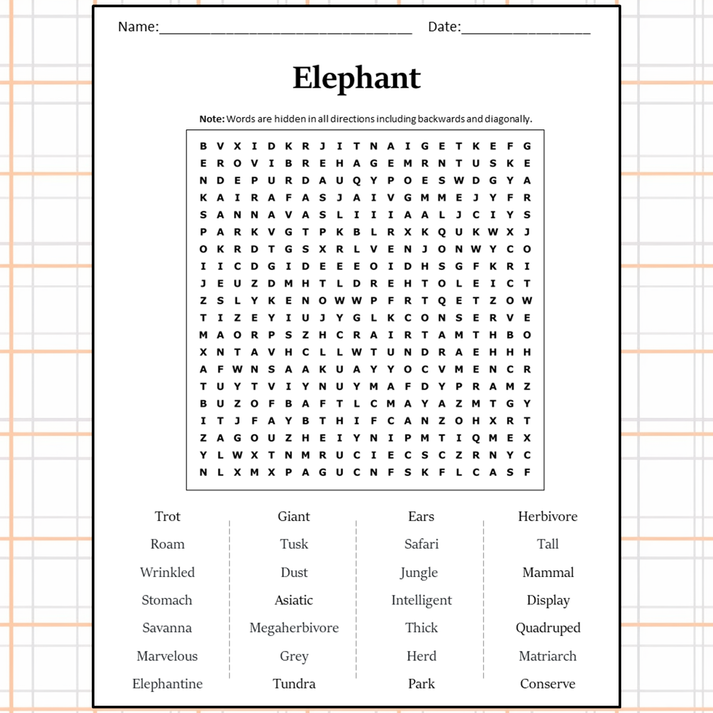 Elephant Word Search Puzzle Worksheet Activity PDF – PrintableBazaar