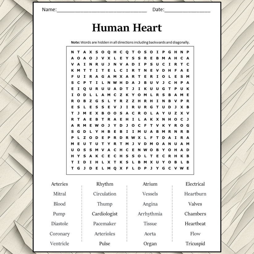 Human Heart Word Search Puzzle Worksheet Activity PDF – PrintableBazaar