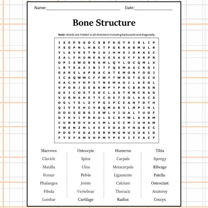 Bone Structure Word Search Puzzle Worksheet Activity PDF – PrintableBazaar