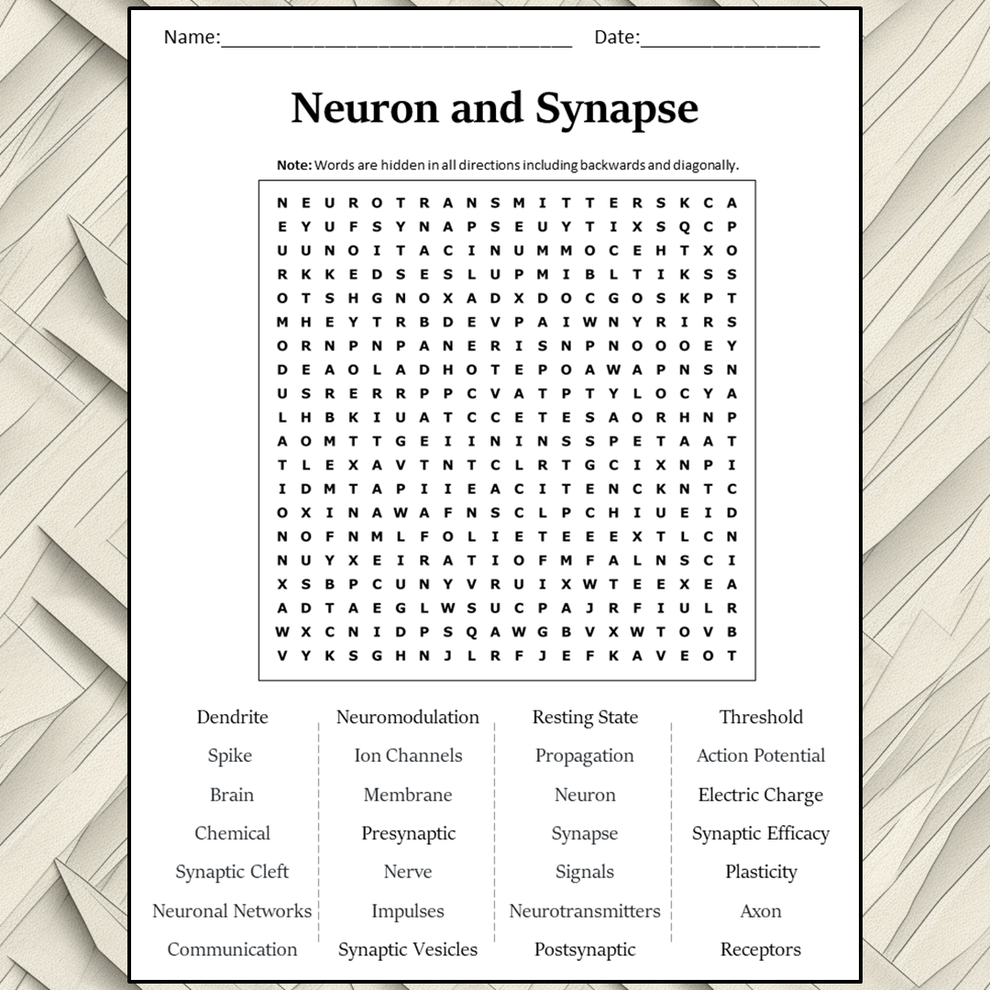 Neuron And Synapse Word Search Puzzle Worksheet Activity PDF ...