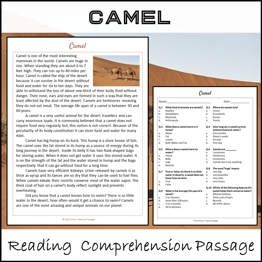 Camel Reading Comprehension Passage and Questions | Printable PDF ...