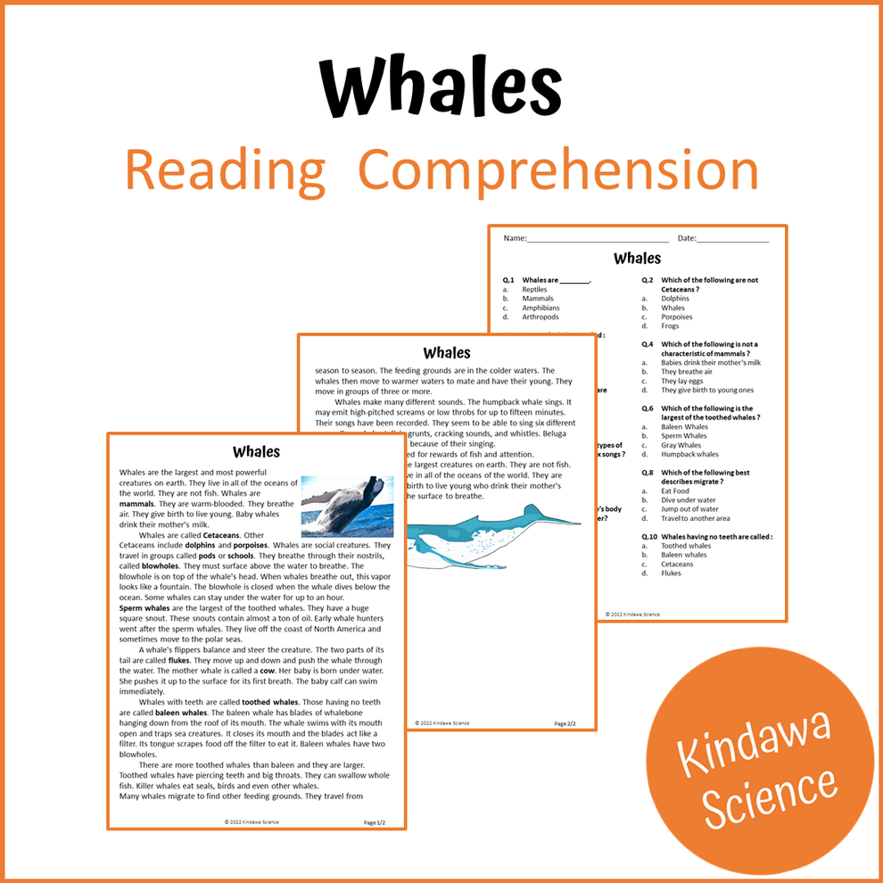 Whales Reading Comprehension Passage and Questions | Printable PDF ...