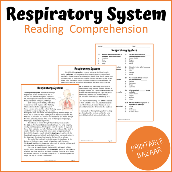 Respiratory System Reading Comprehension Passage and Questions | Print ...