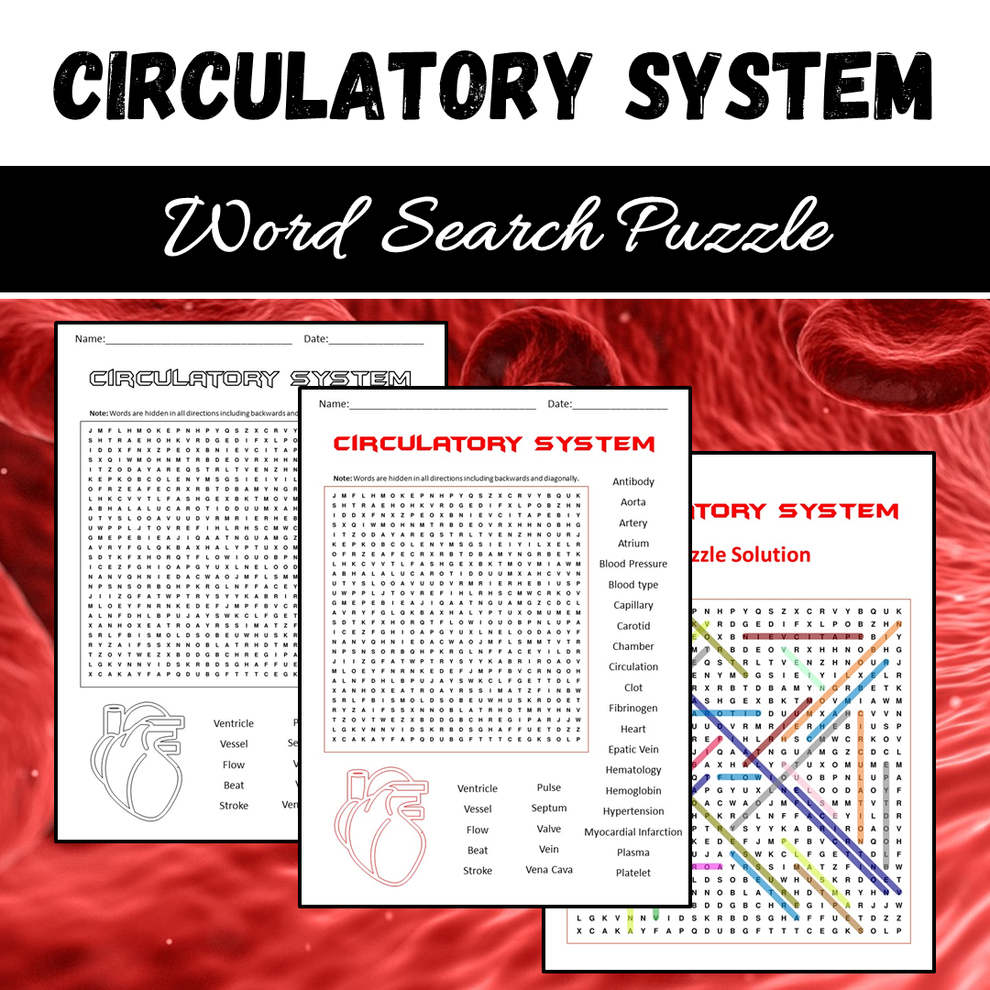 Circulatory System Word Search Puzzle Worksheet PDF – PrintableBazaar