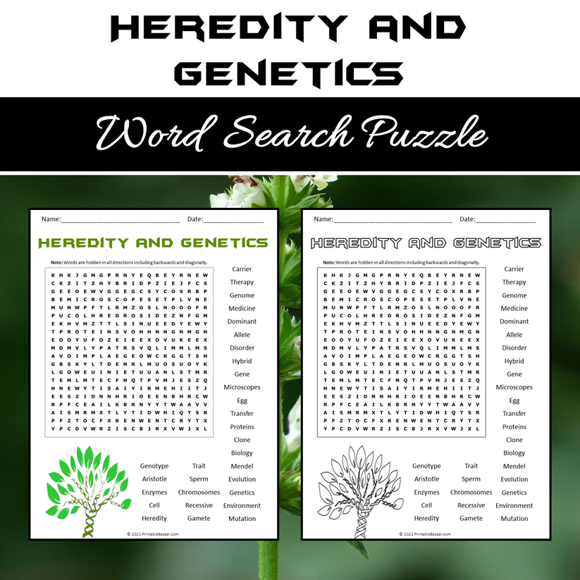 Heredity And Genetics Word Search Puzzle Worksheet PDF – PrintableBazaar