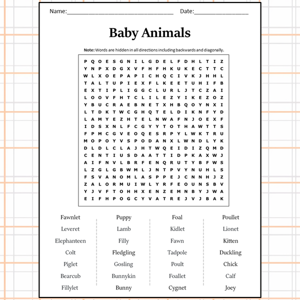 Baby Animals Word Search Puzzle Worksheet Activity PDF – PrintableBazaar